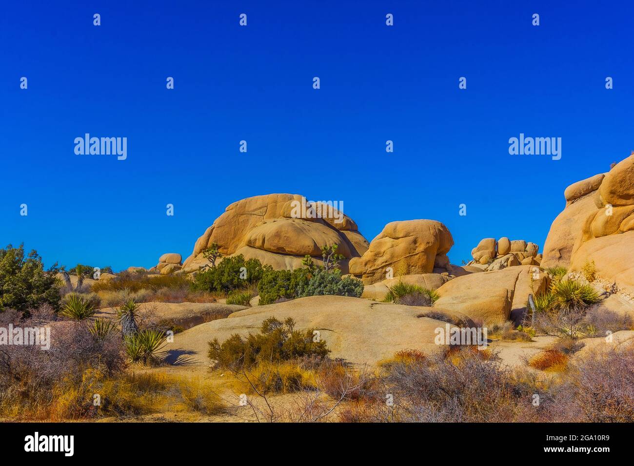 Joshua Tree National Park, Southern California Stock Photo - Alamy