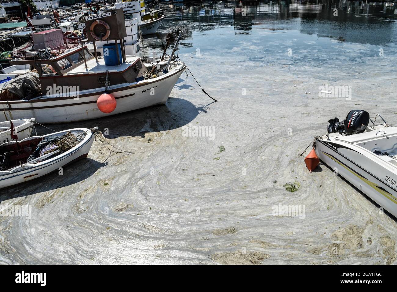 A thick layer of mucilage, also known as 'sea snot', covers the Marmara ...