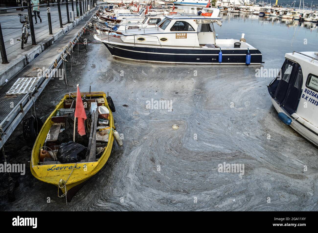 A thick layer of mucilage, also known as 'sea snot', covers the Marmara ...