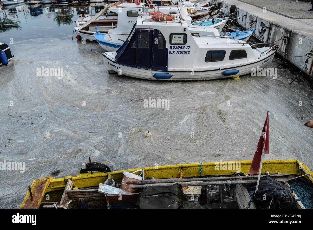 A thick layer of mucilage, also known as 'sea snot', covers the Marmara ...