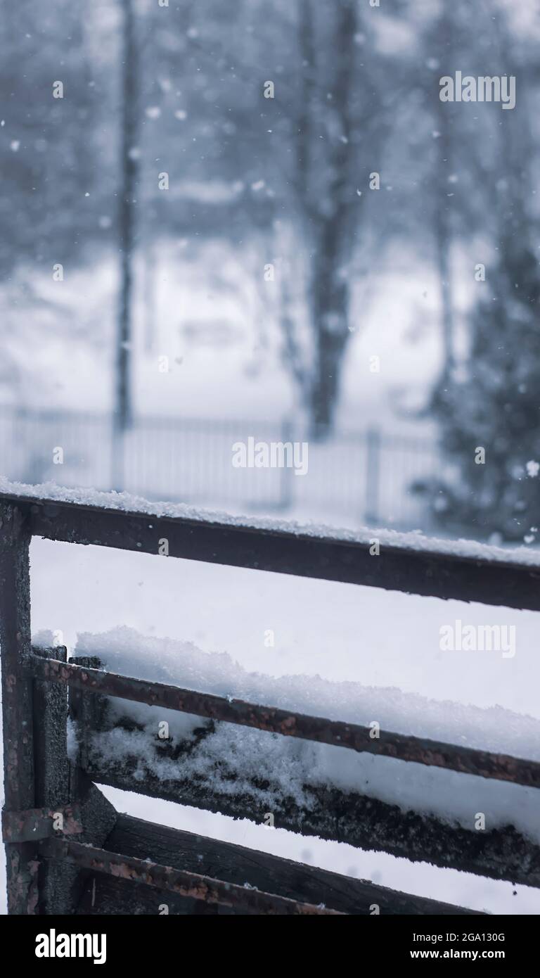 Fresh snow on the metal balcony railing. Urban landscape in winter day ...