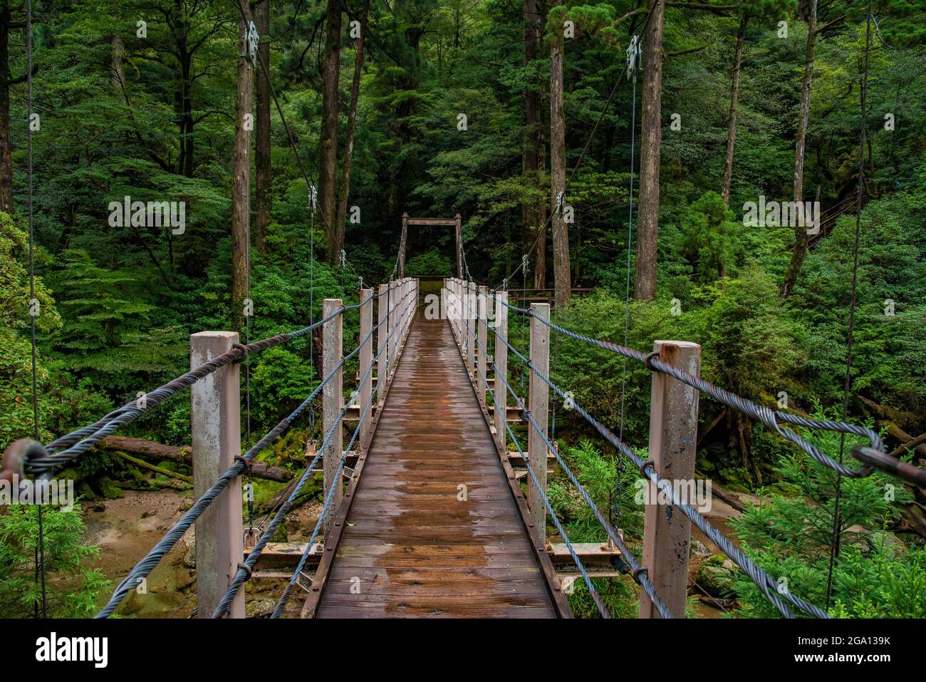 Wooden cedar bridge hi-res stock photography and images - Alamy