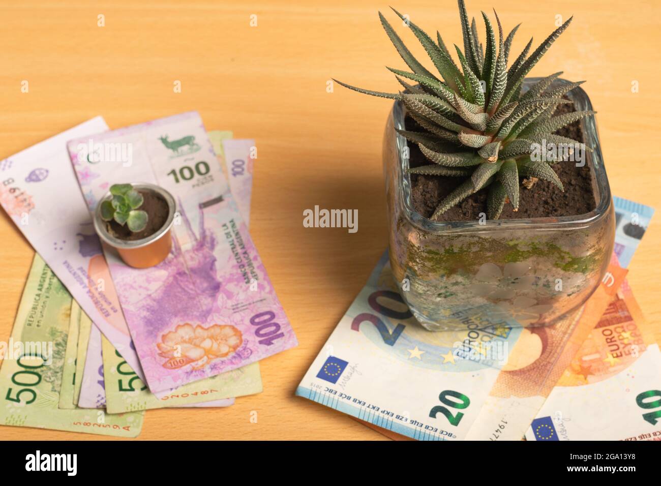Small pot with plant on pesos bills and large pot with plant on euros ...