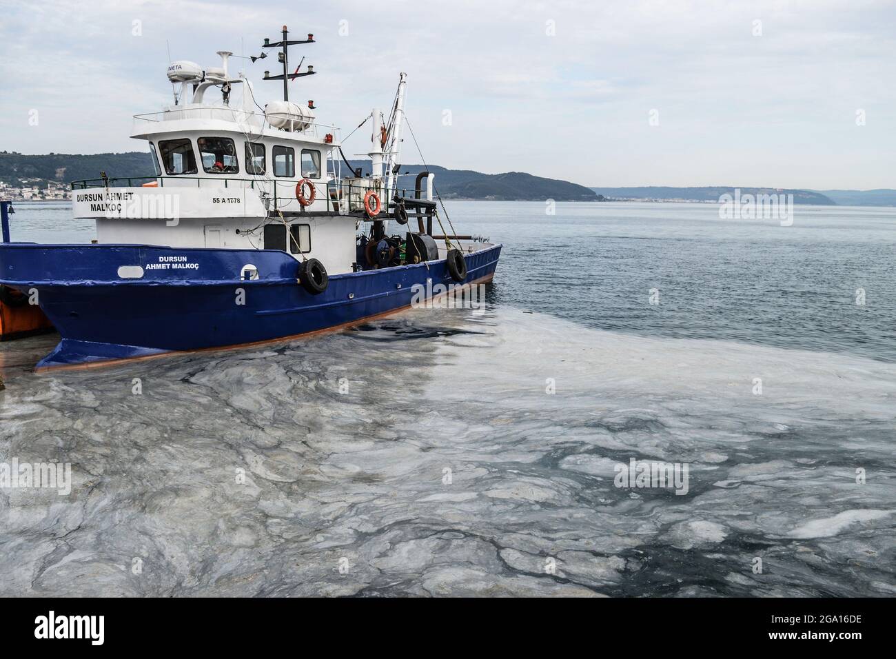 A thick layer of mucilage, also known as 'sea snot', covers the Marmara ...