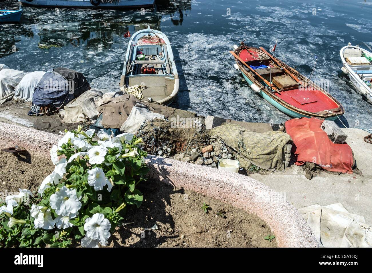 A layer of mucilage, also known as 'sea snot', covers the Marmara Sea ...