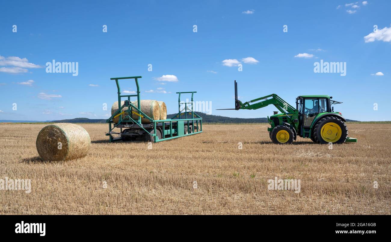 Tractor with bale spike on a stubble field loading bales of straw Stock ...