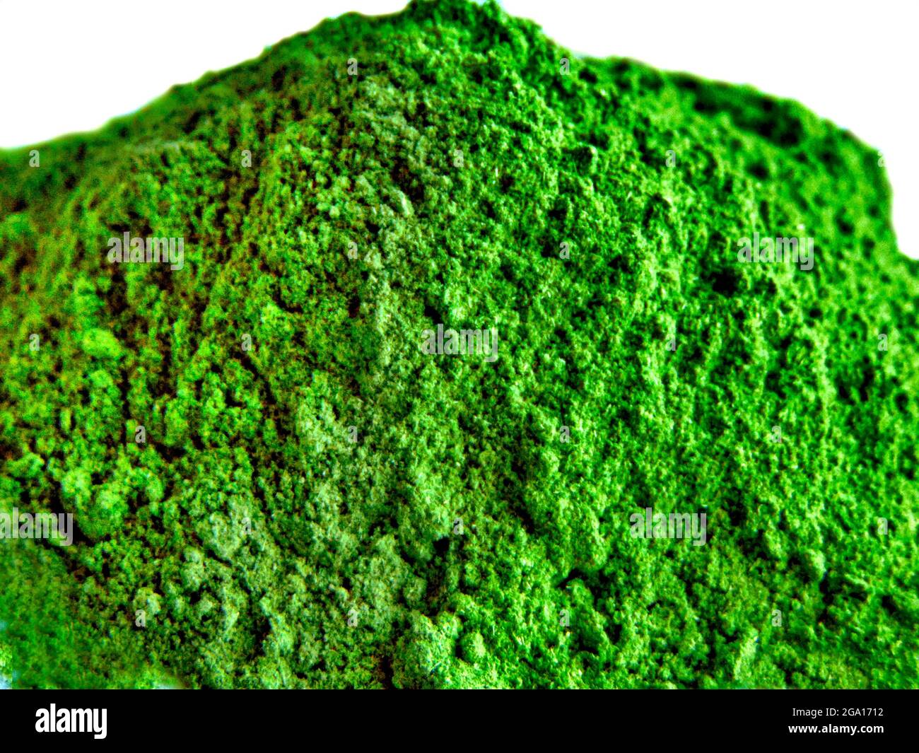 wheatgrass powder isolated on white background Stock Photo - Alamy