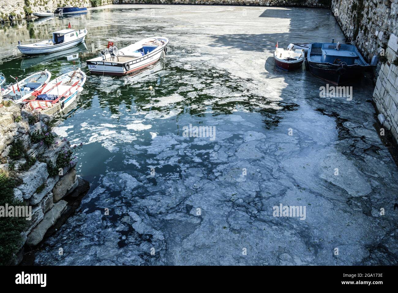 A thick layer of mucilage, also known as 'sea snot', covers the Marmara ...