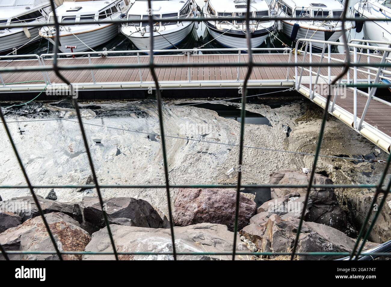 A thick layer of mucilage, also known as 'sea snot', covers the Marmara ...