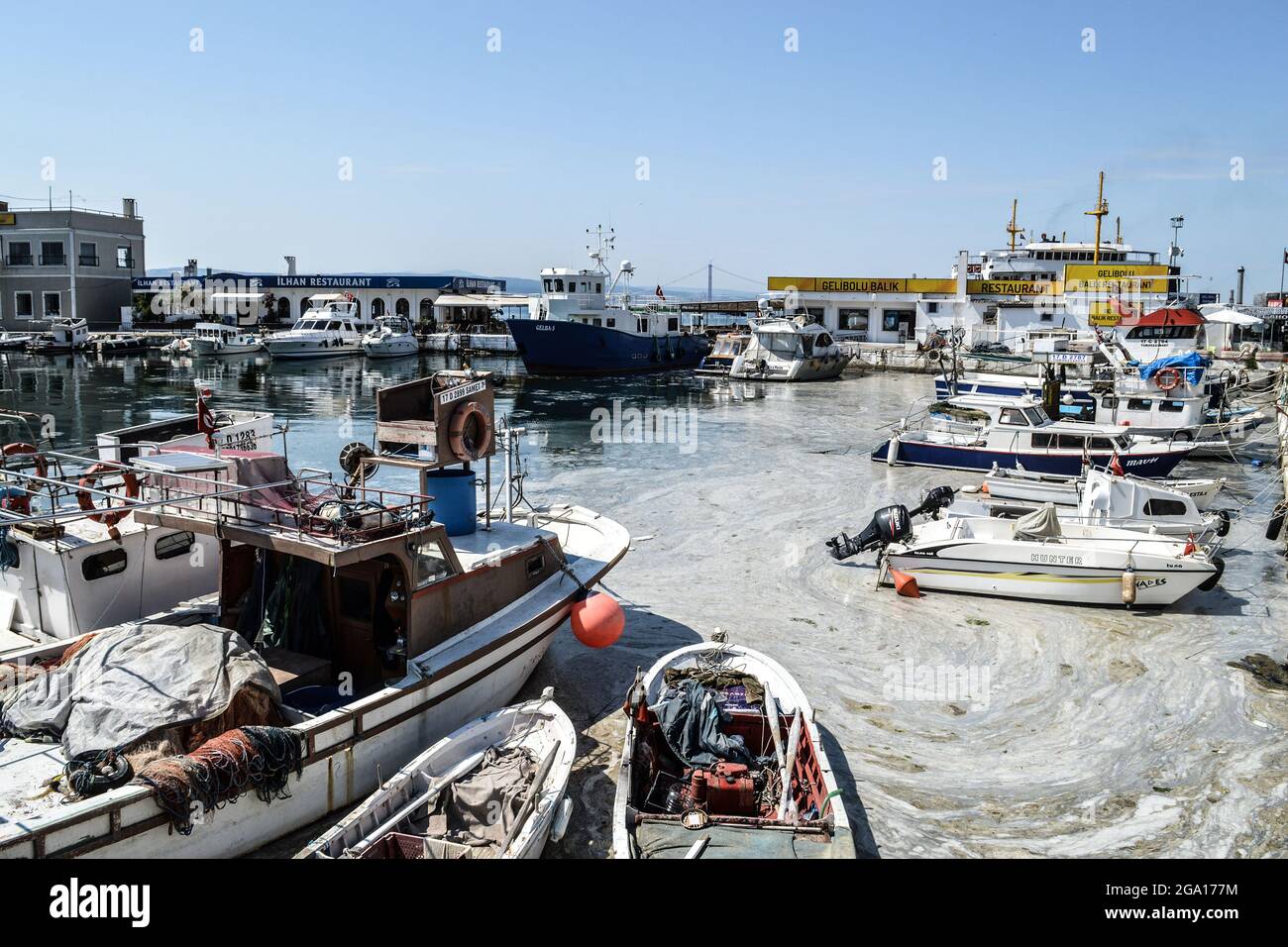 A thick layer of mucilage, also known as 'sea snot', covers the Marmara ...