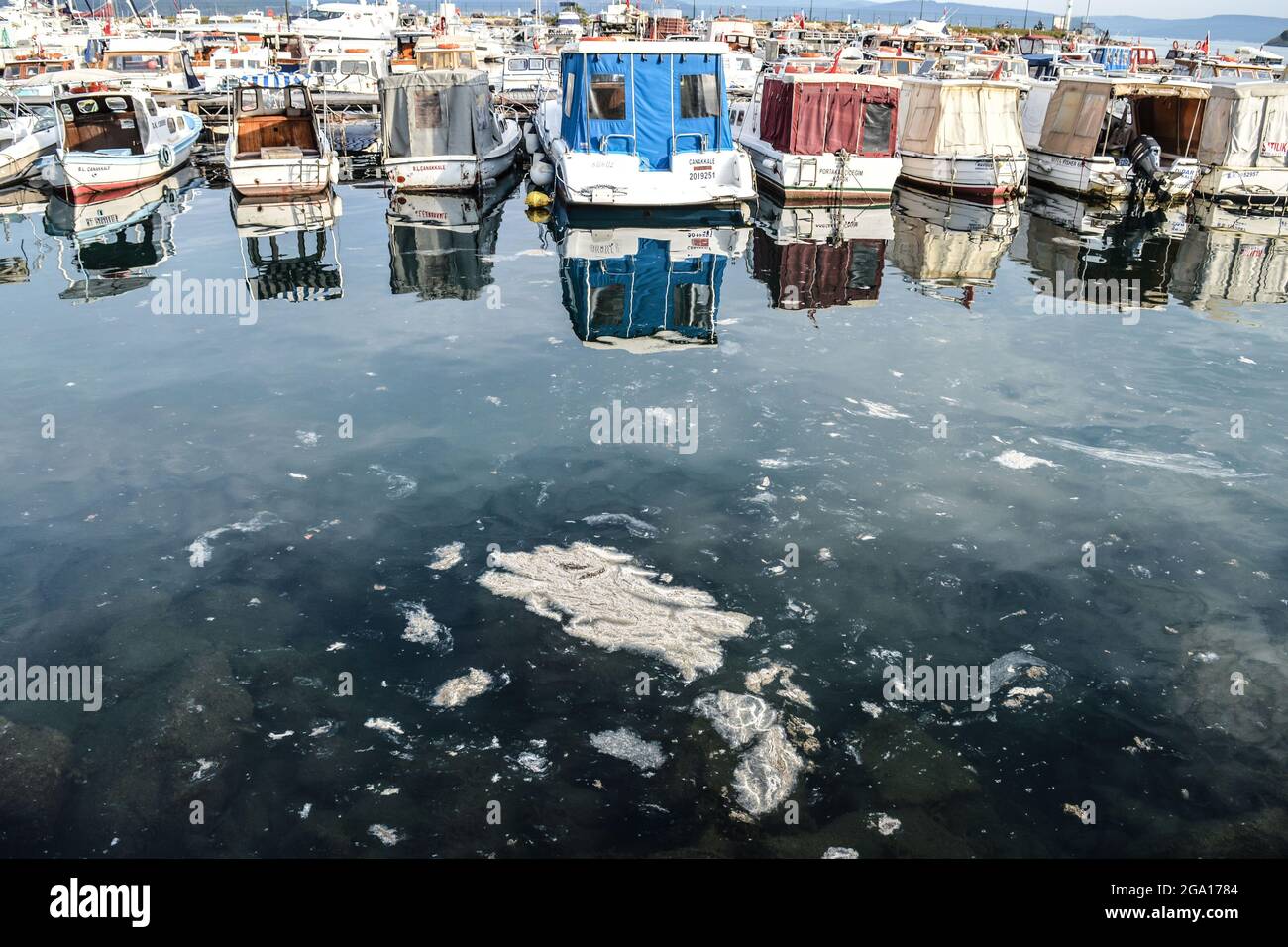 A layer of mucilage, also known as 'sea snot', covers the Marmara Sea ...