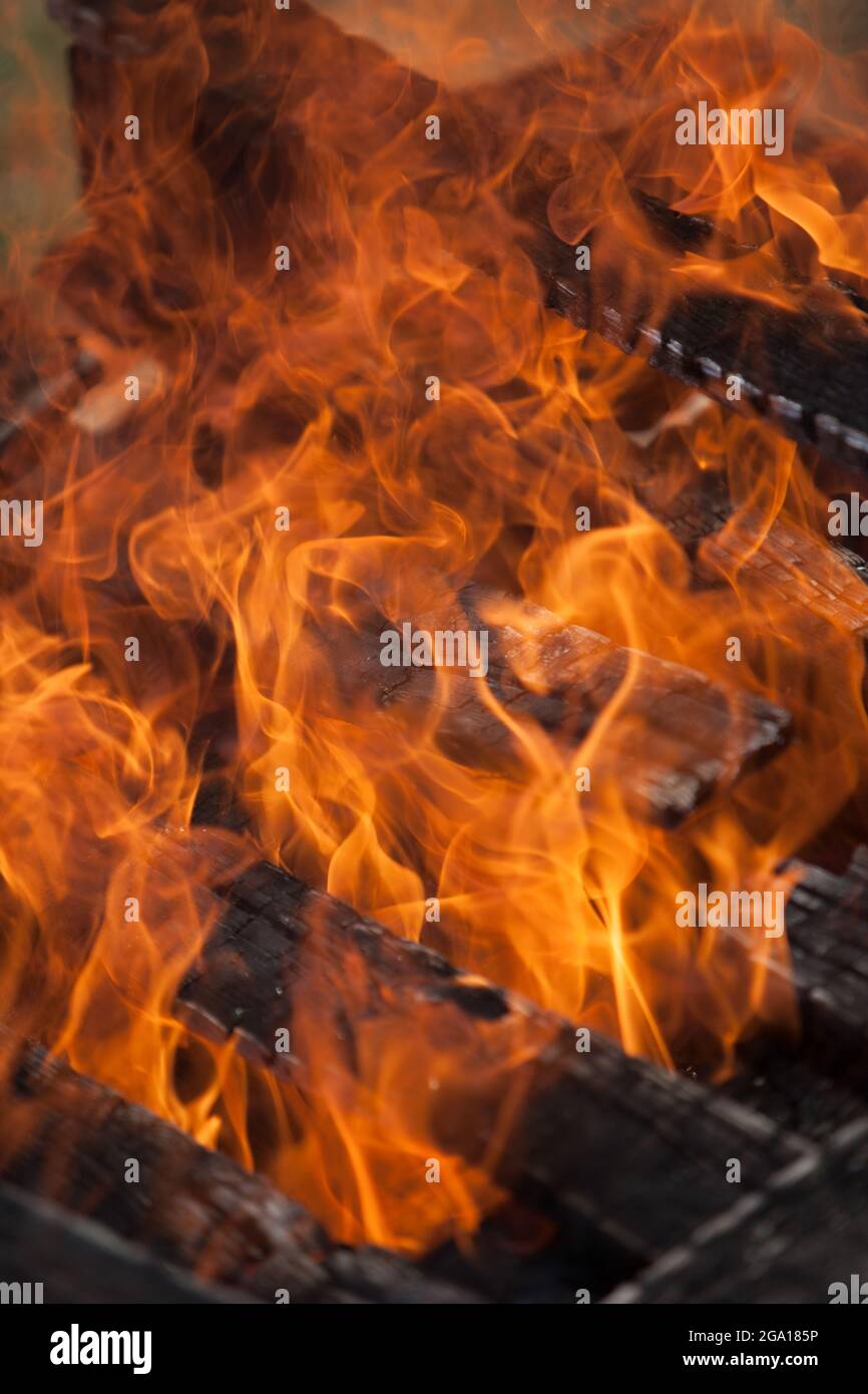 Burning fire, close up of flames. Basic elements of environment ...
