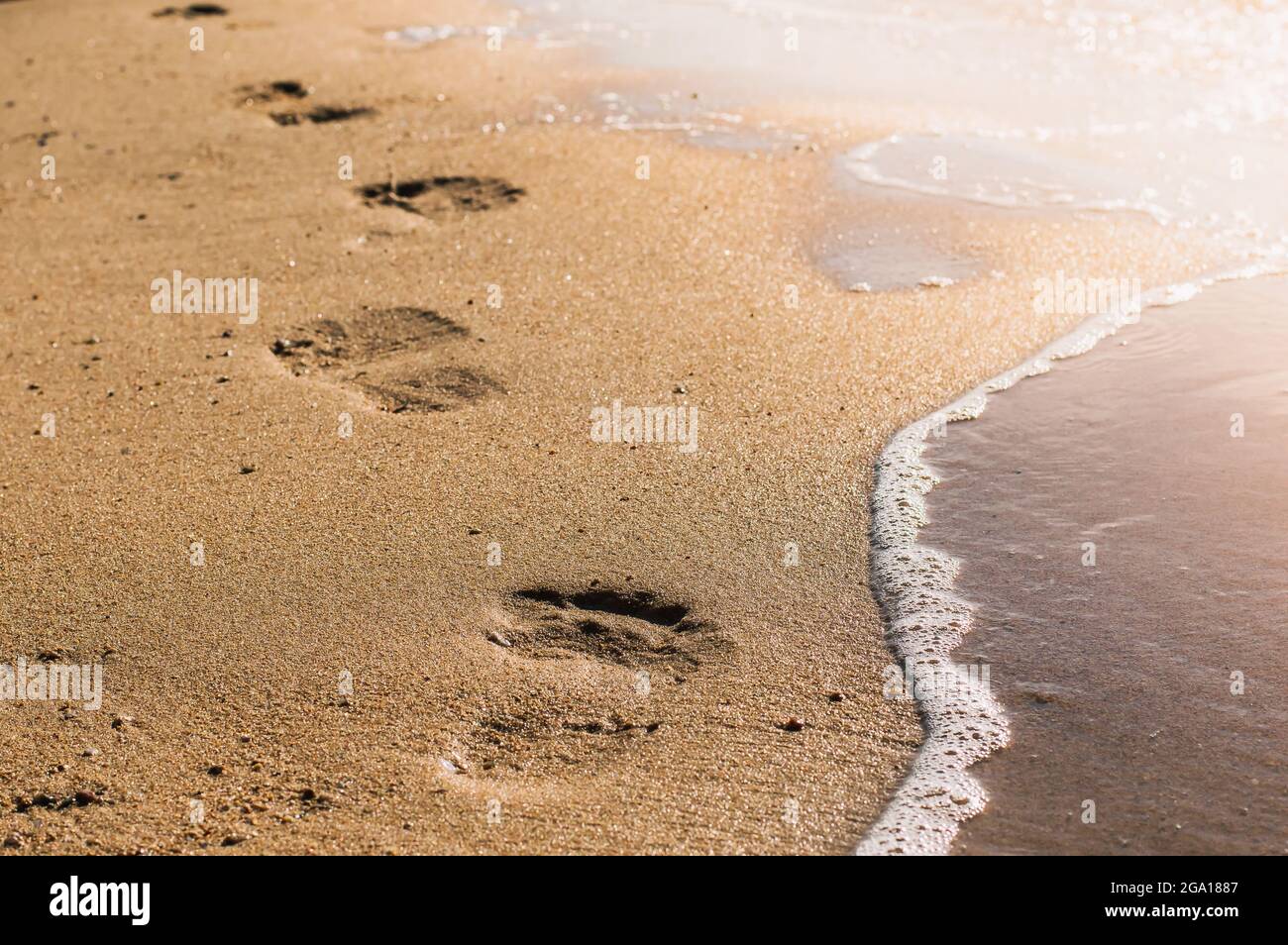 Sand follow footprints beach human hi-res stock photography and images ...