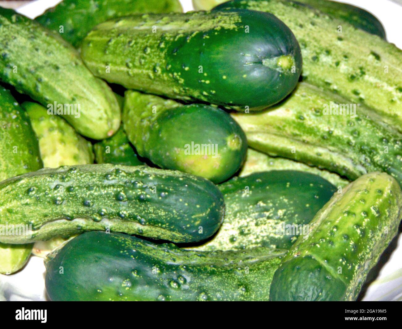cucumbers on a plate - vegetable Stock Photo - Alamy