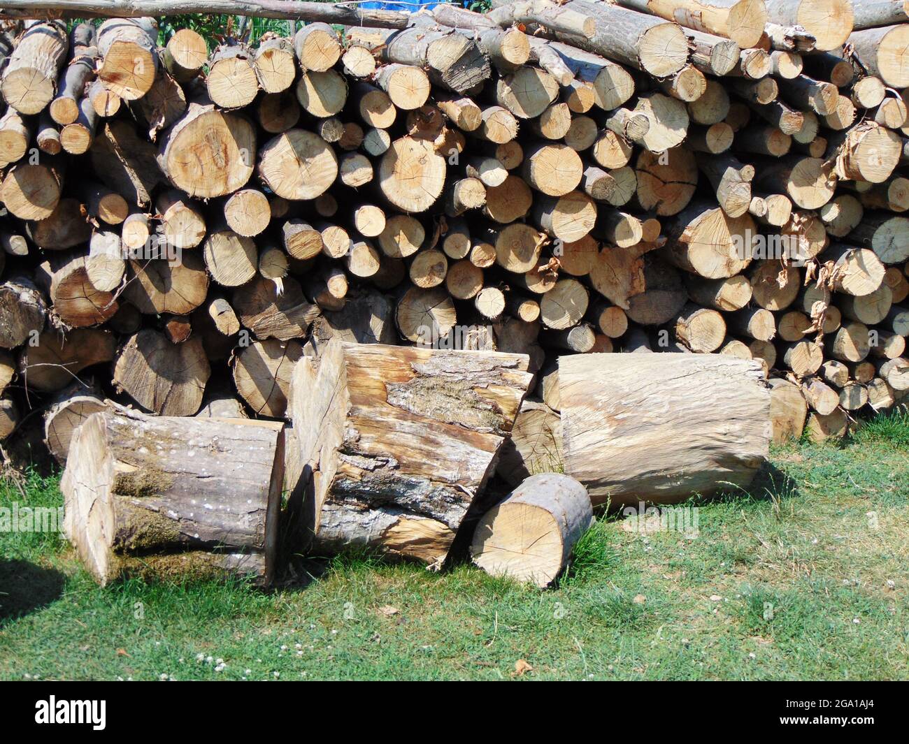 stack of fire wood - farm Stock Photo - Alamy