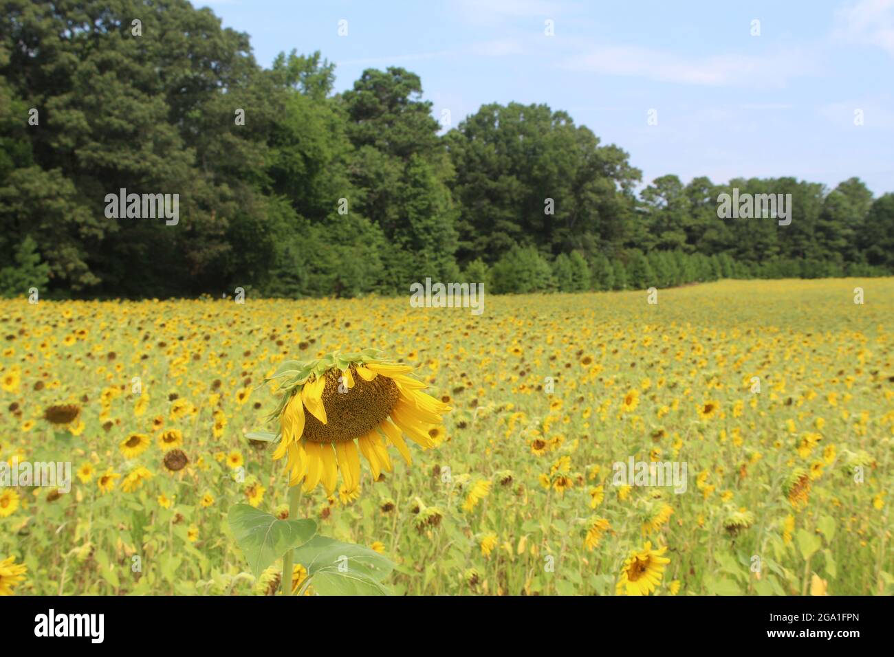 Mccormick south carolina hi-res stock photography and images - Alamy