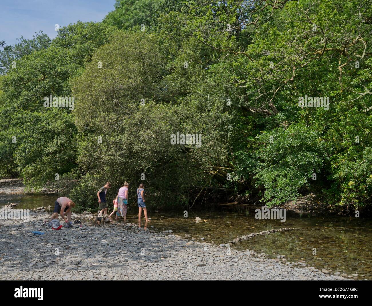 Family playing on the river Ystwyth on a hot summer day in Ceredigion ...