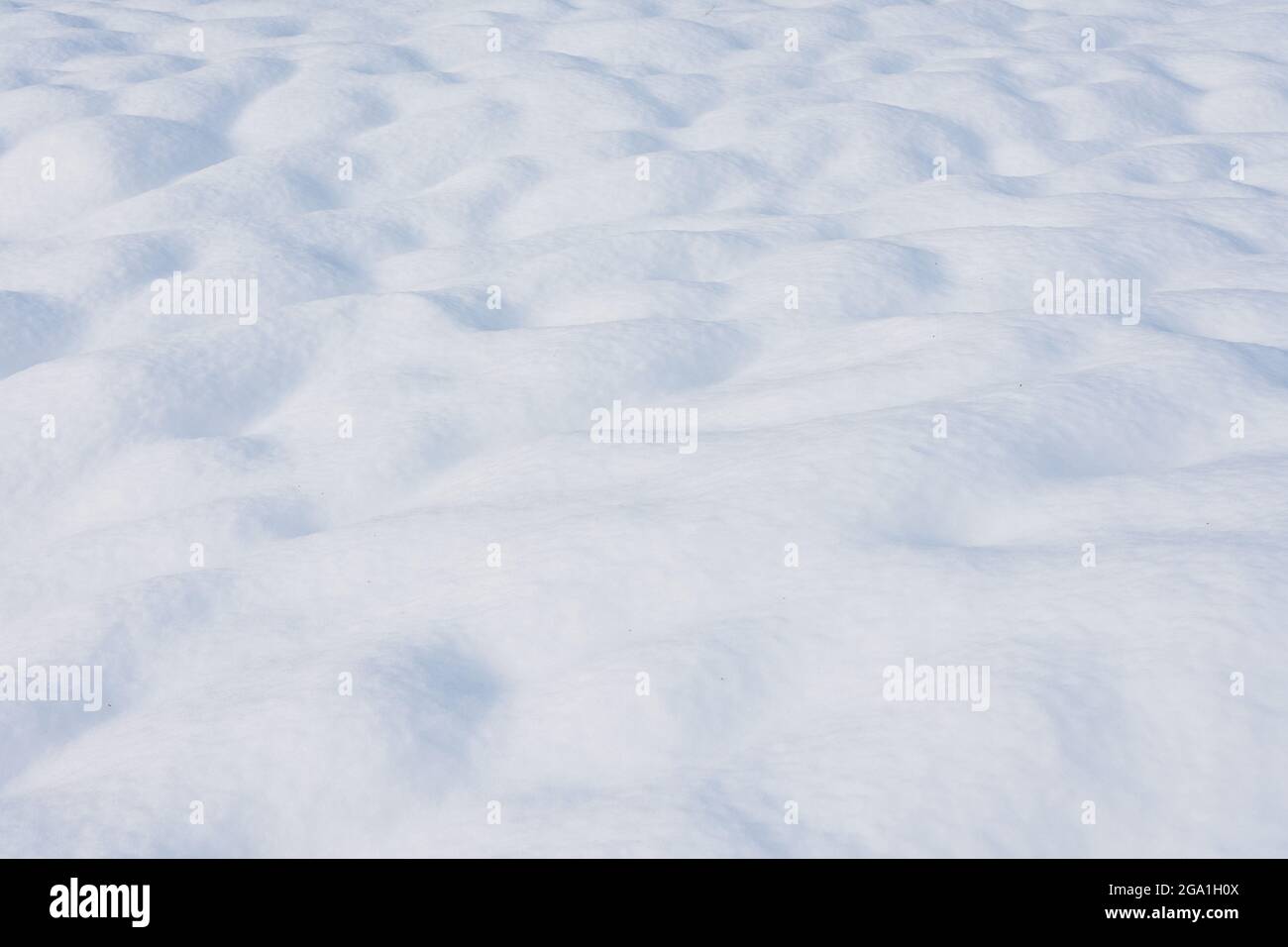 Closeup shot of white pure snow, snow texture Stock Photo - Alamy