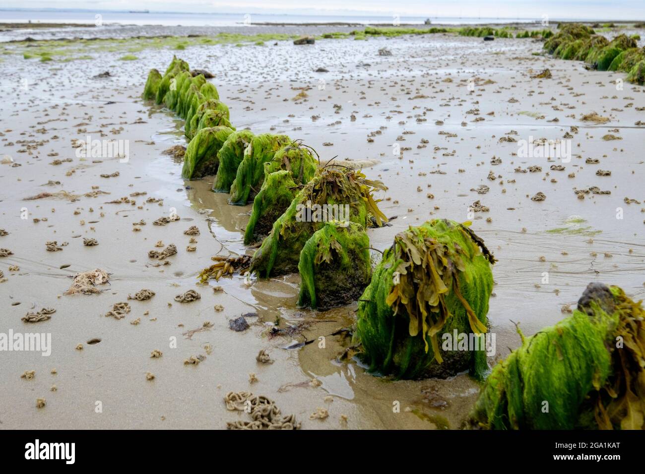 Old groynes hi-res stock photography and images - Alamy