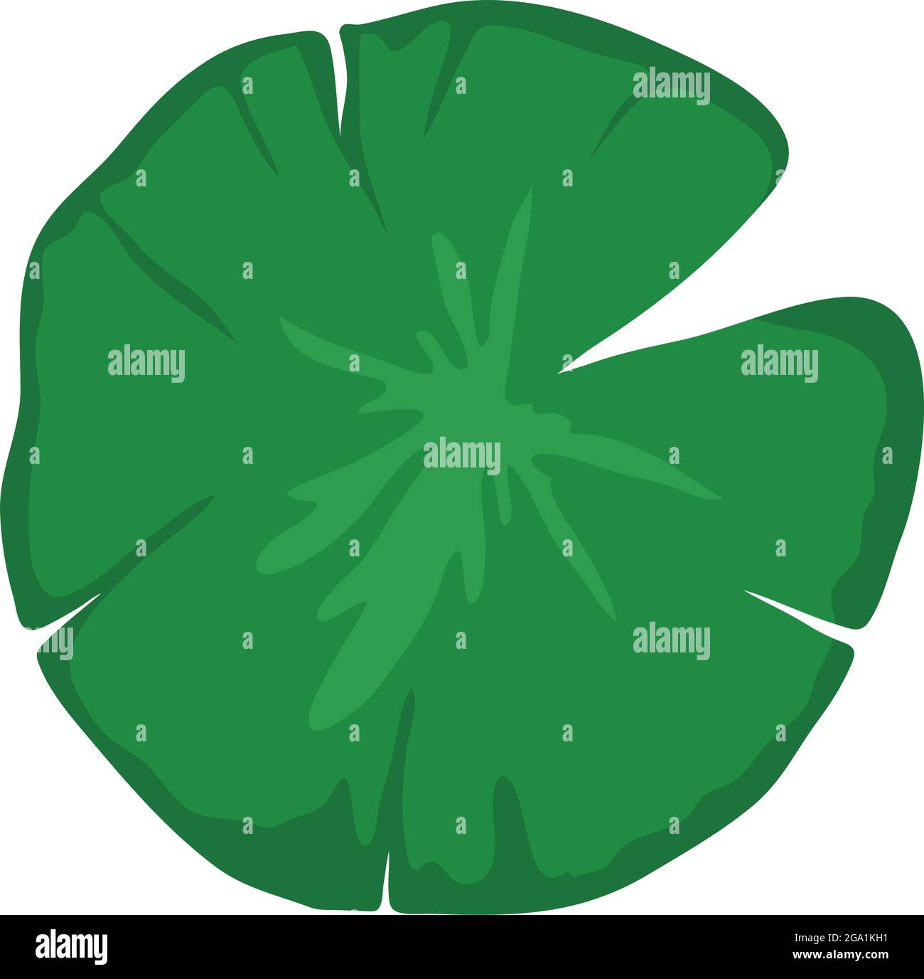 lotus leaf on white background Stock Vector Image & Art - Alamy