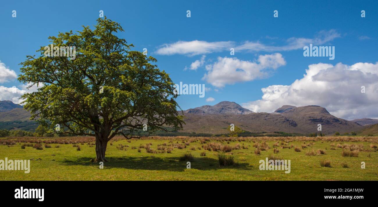 An ruadhh stac hi-res stock photography and images - Alamy