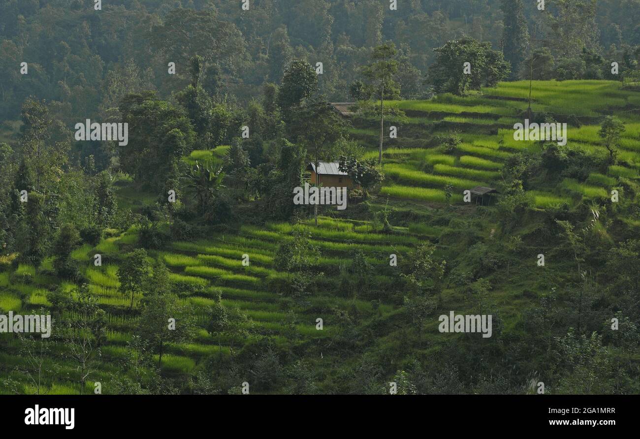 Beautiful open fields. India Stock Photo - Alamy