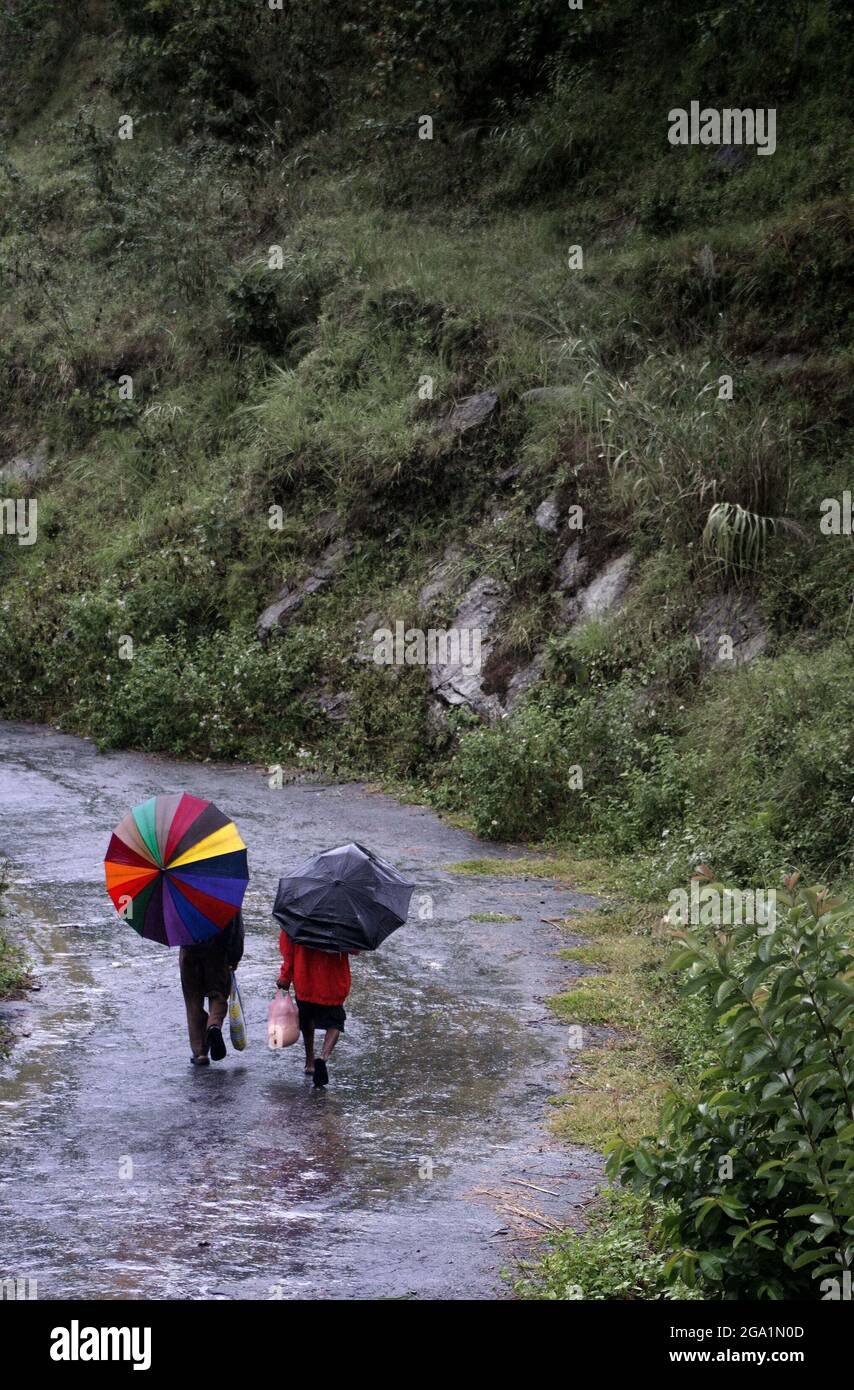 Monsoon colours, Relli, Kalimpong, India Stock Photo - Alamy