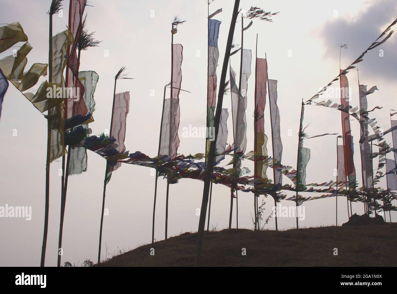 Tibetan prayer flags, India Stock Photo - Alamy