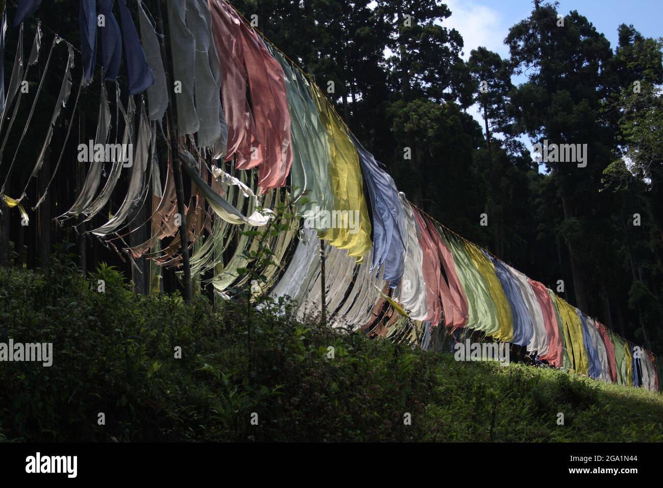 Tibetan prayer flags, India Stock Photo - Alamy
