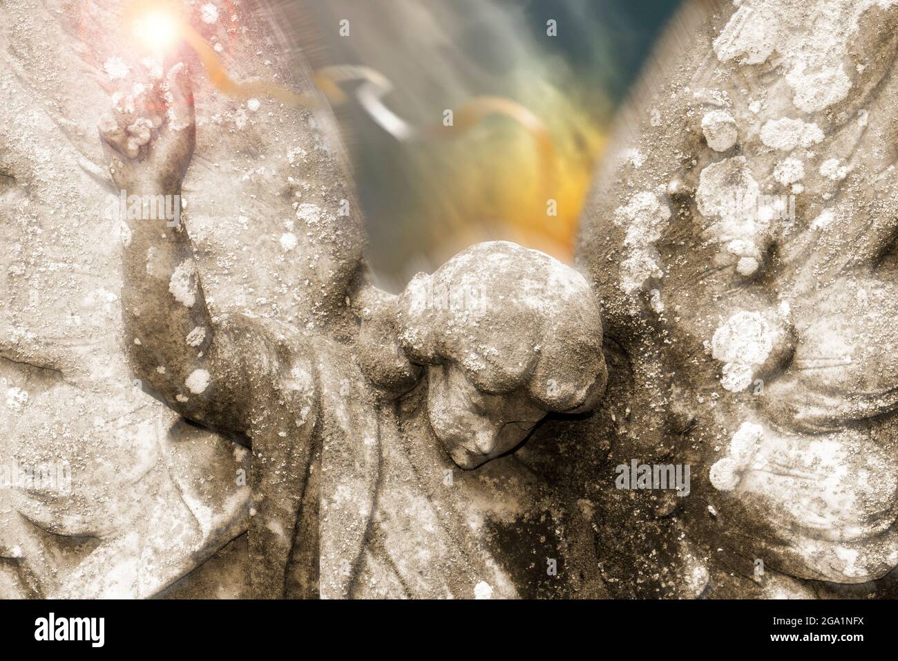 Head and shoulders and wings of a headstone angel covered in lichen ...