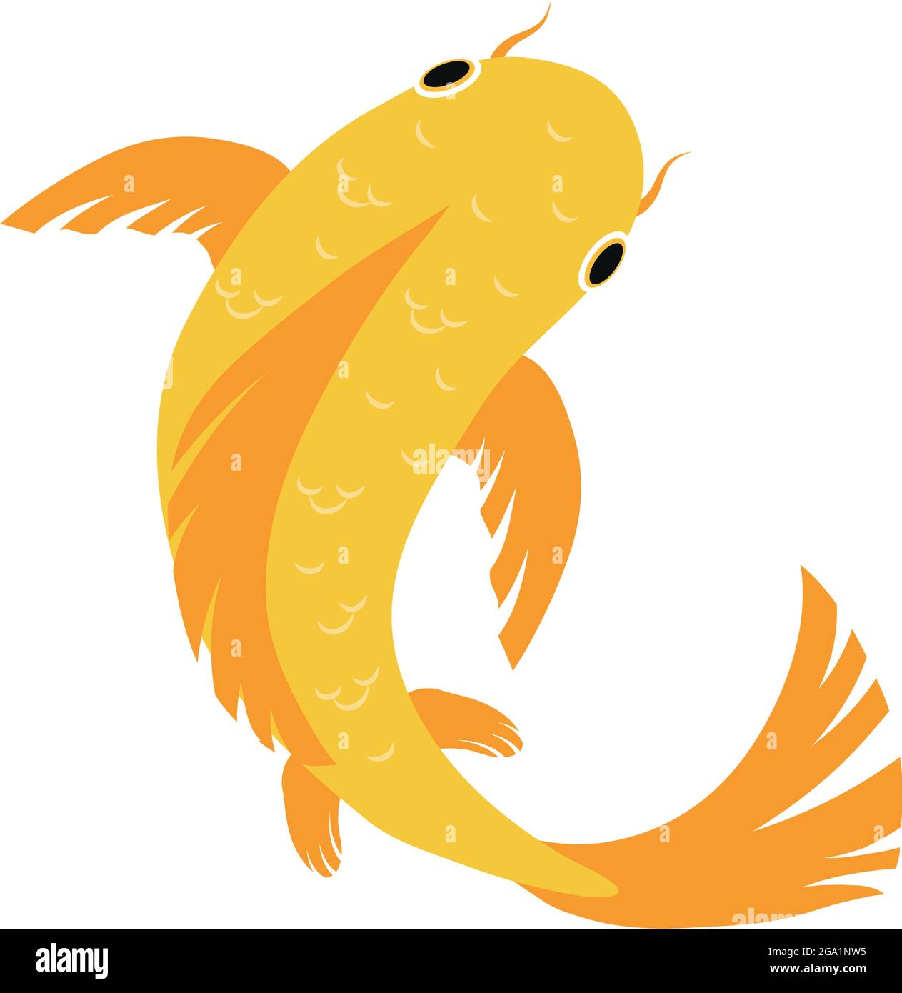 yellow koi fish on white background Stock Vector Image & Art - Alamy