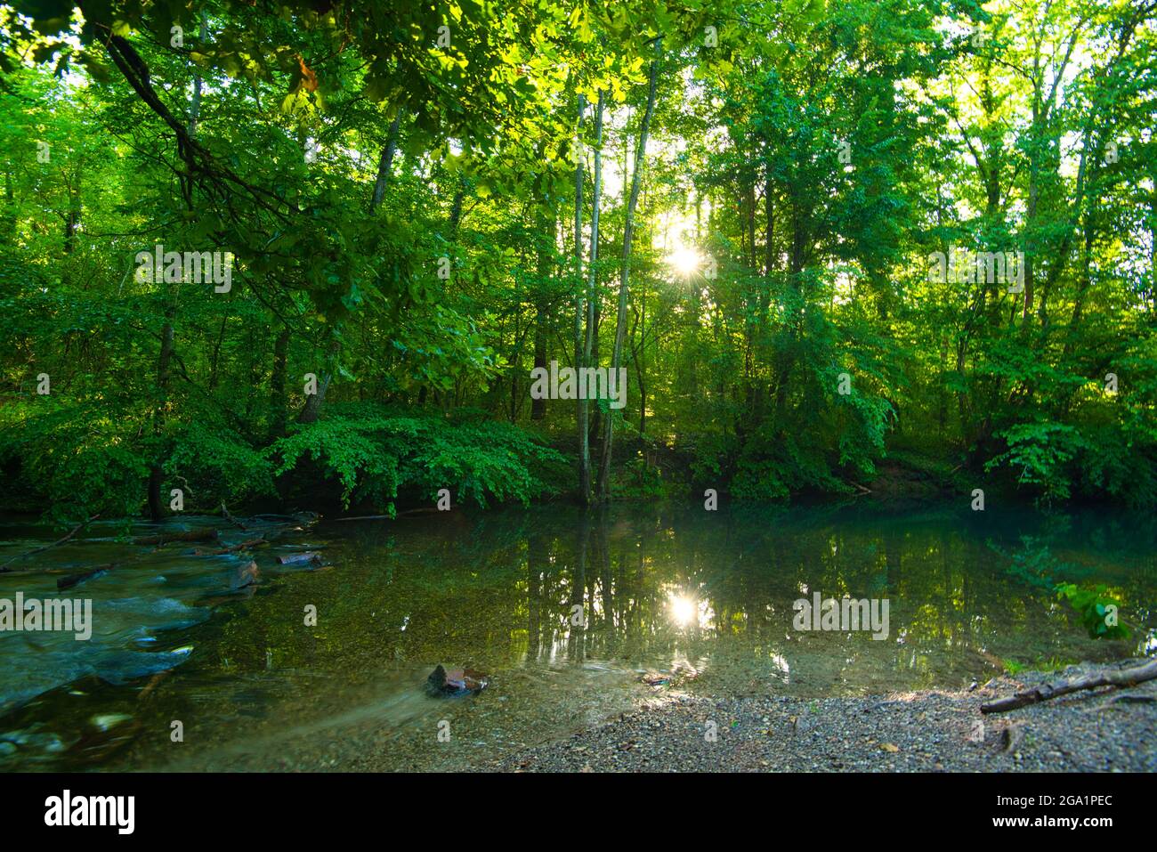 sunrise in the wetlands in the ortenau area in germany Stock Photo - Alamy