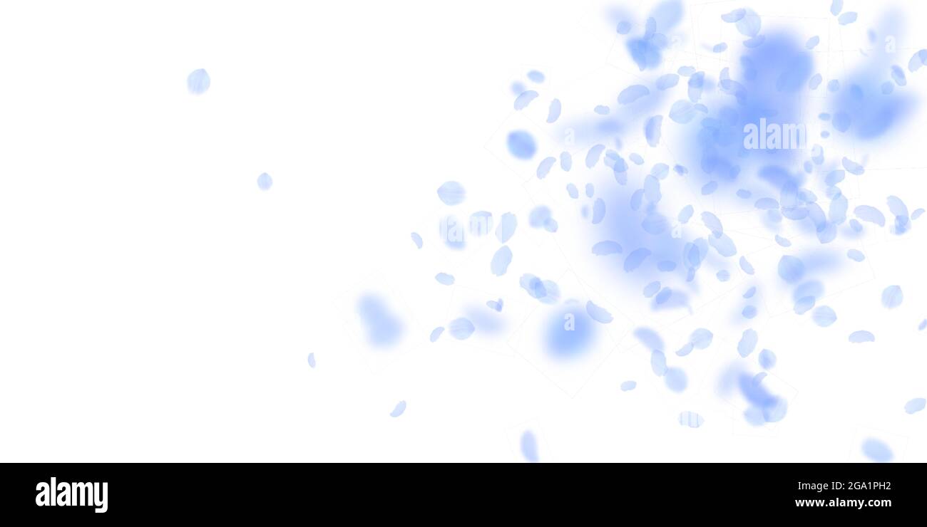 Dark blue flower petals falling down. Mesmeric romantic flowers ...