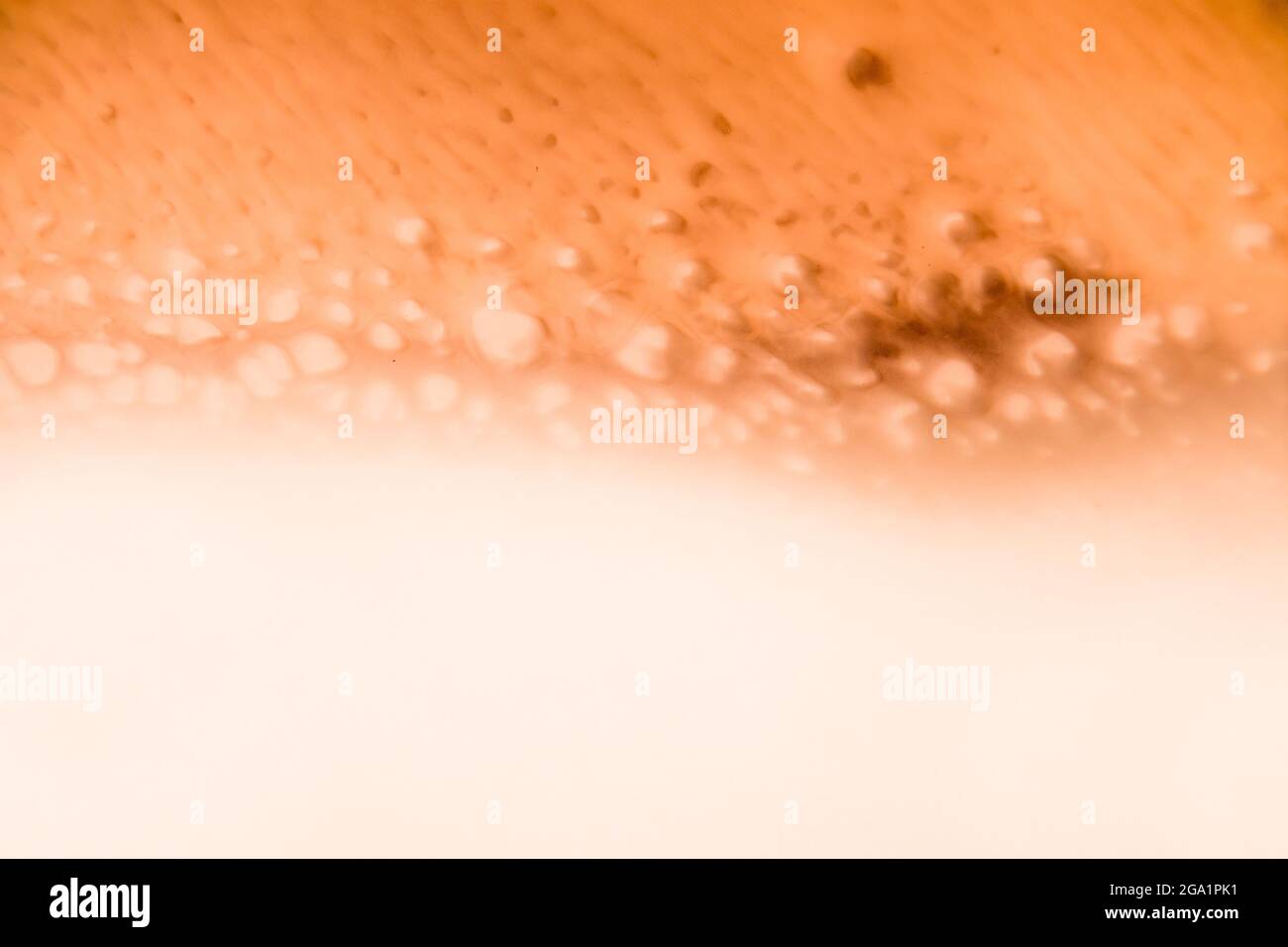 modern art background. abstract epoxy resin painting. Liquid flow ...