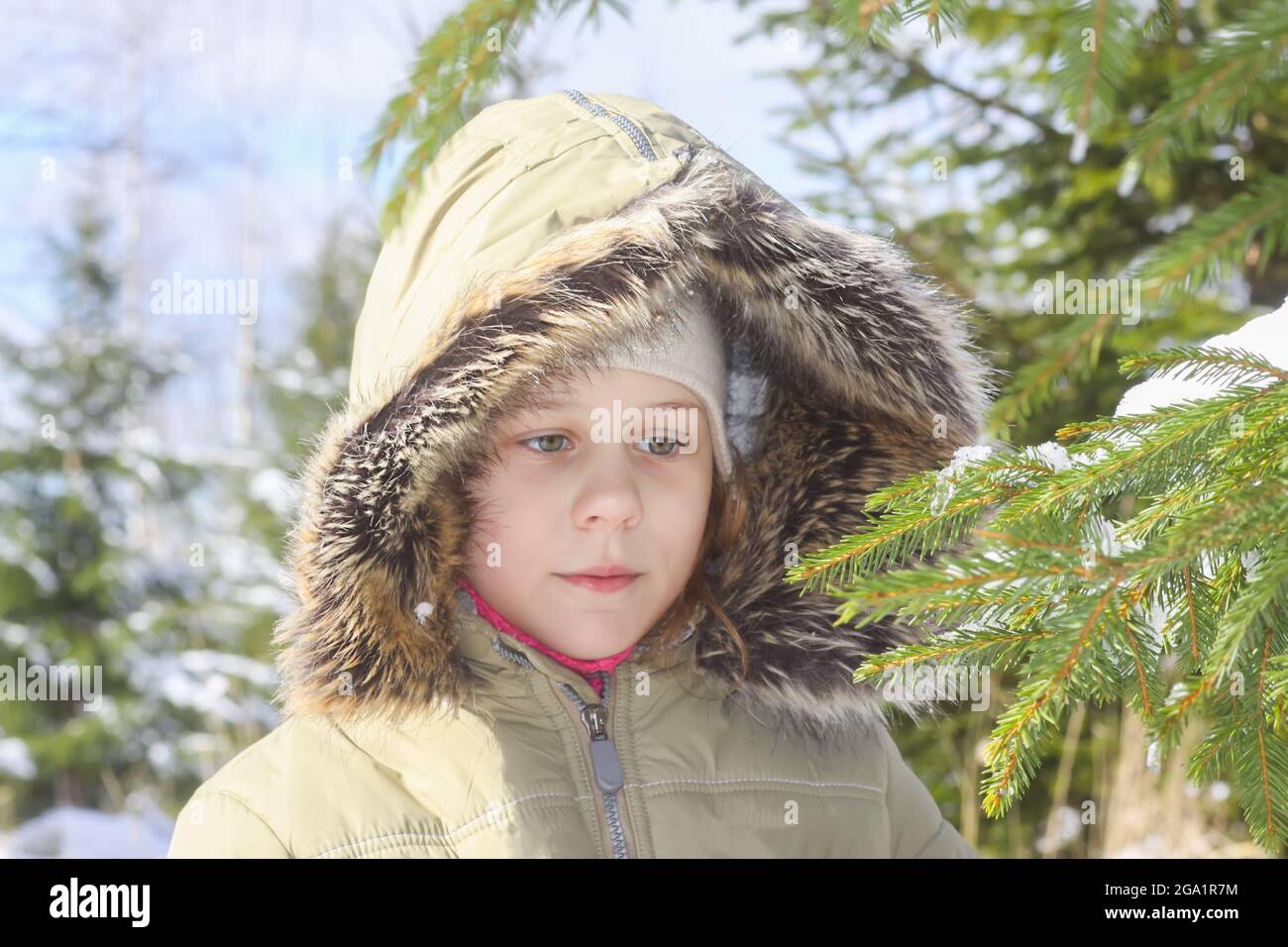 Little girl walking in snow-covered winter forest. Child exploring ...