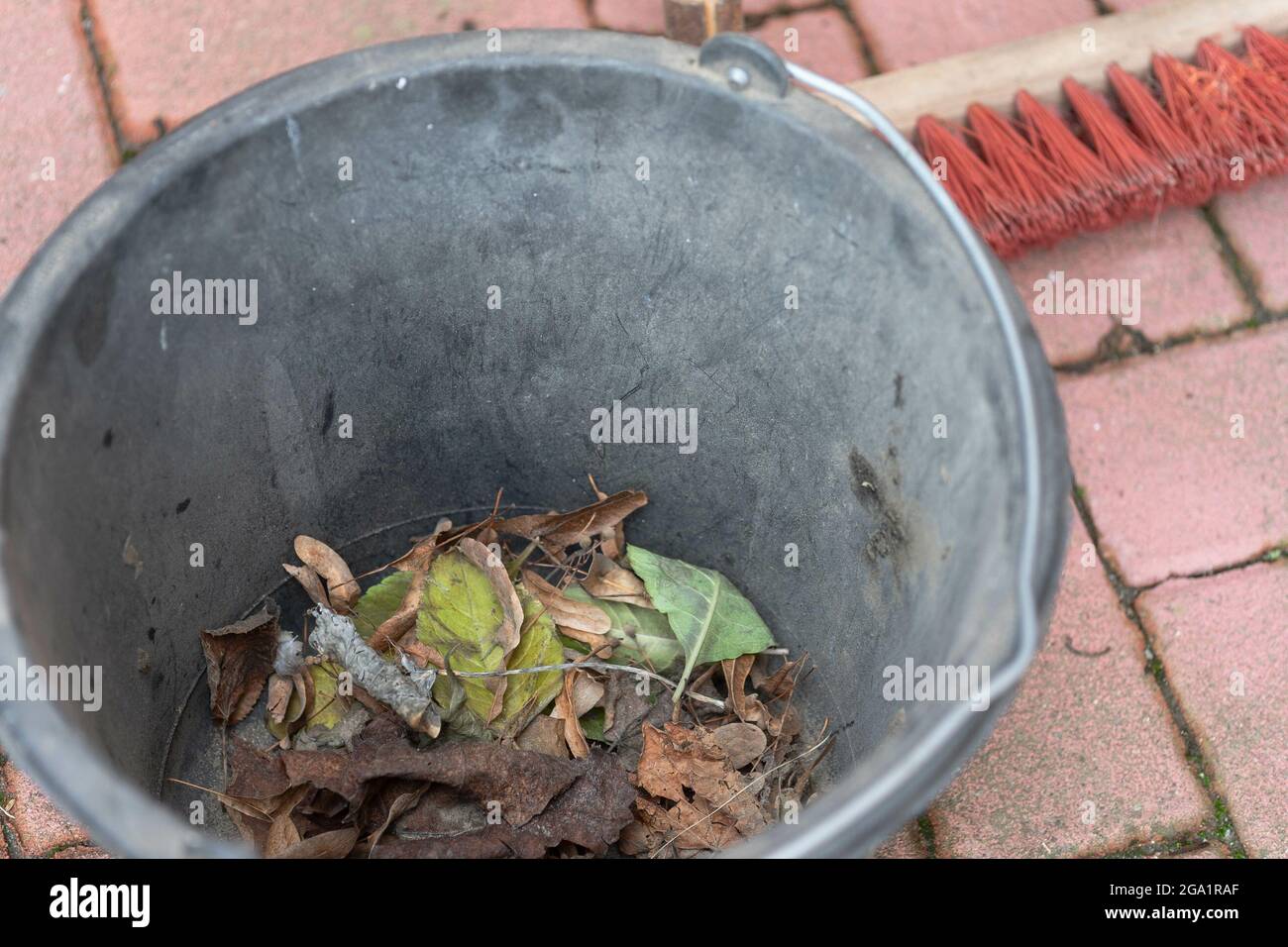 Metal bucket with dry autumn leaves Stock Photo - Alamy