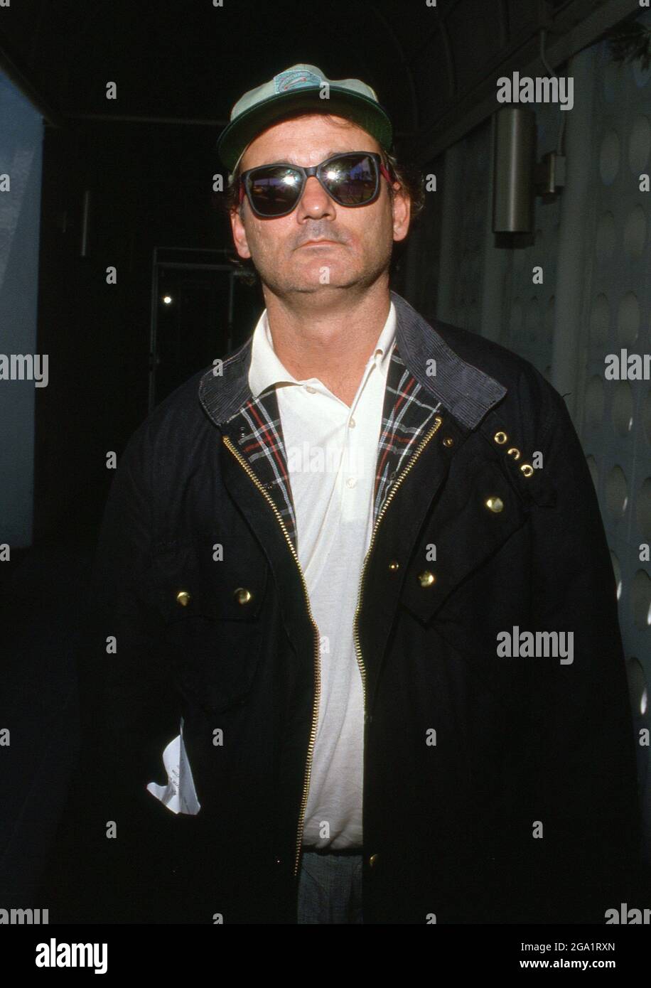 Bill Murray Circa 1990's. Credit: Ralph Dominguez/MediaPunch Stock ...
