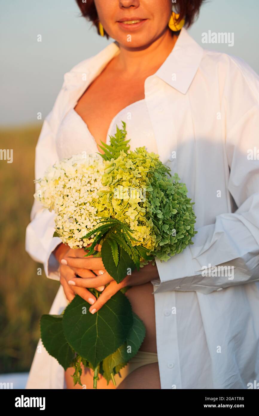Hydrangea summer sun backlit hi-res stock photography and images - Alamy