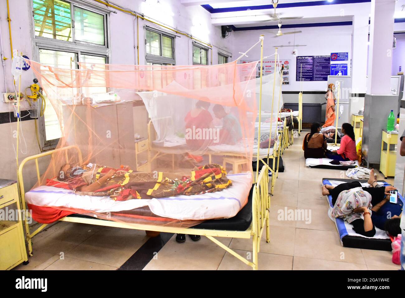Indian dengue patients , lays on a bed covered with a mosquito net in ...