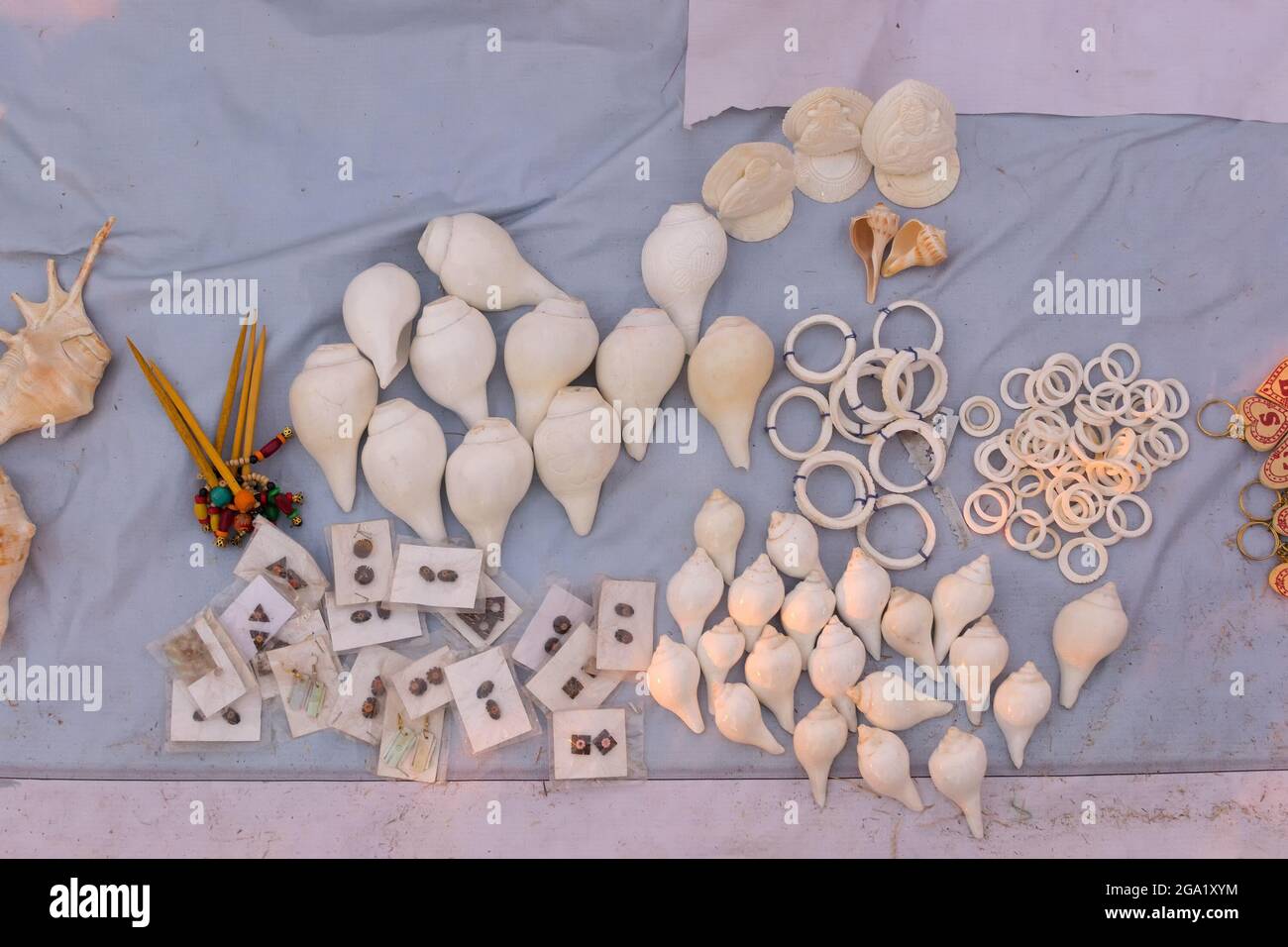Conch Shell handicrafts, on display during the Handicraft Fair in ...