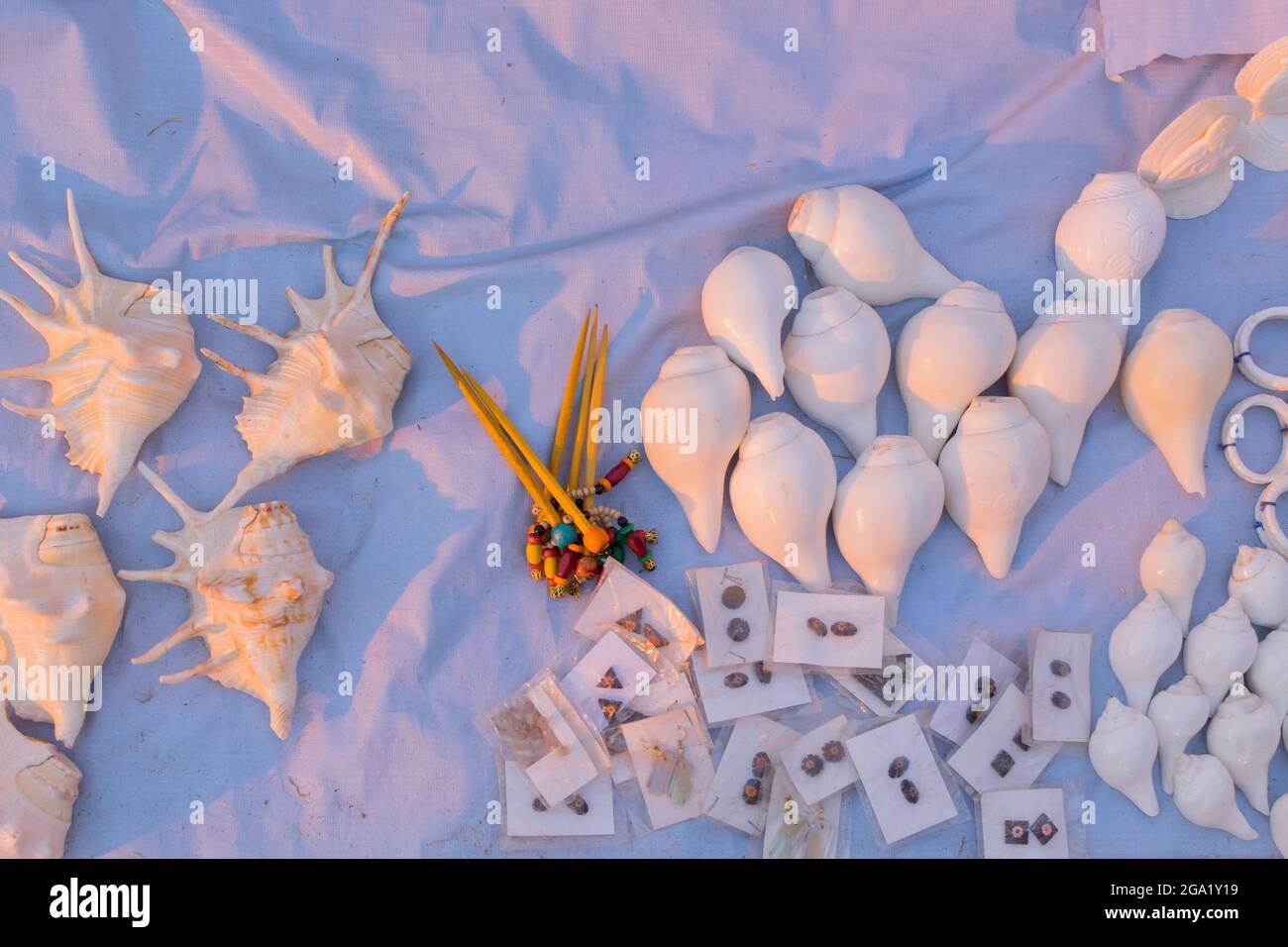 Conch Shell handicrafts, on display during the Handicraft Fair in ...