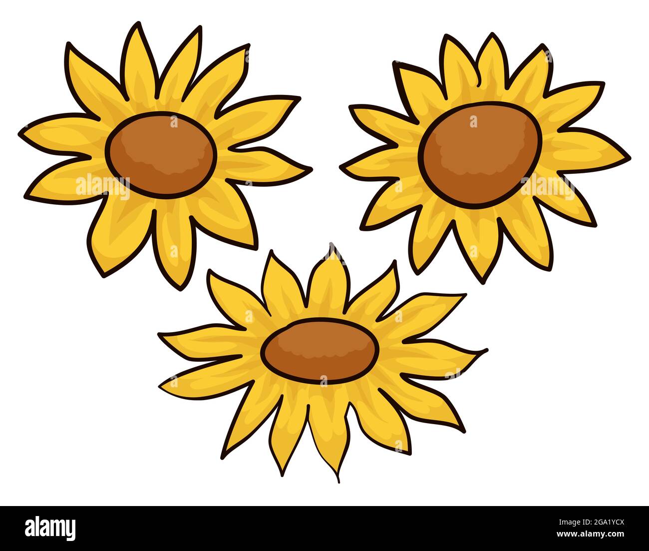 Botany flowers petals in Stock Vector Images - Alamy