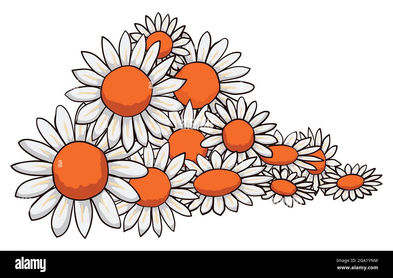 Bunch of flowers in cartoon style with white petals and orange floret ...