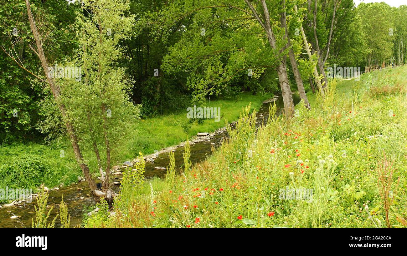 Tordera river hi-res stock photography and images - Alamy