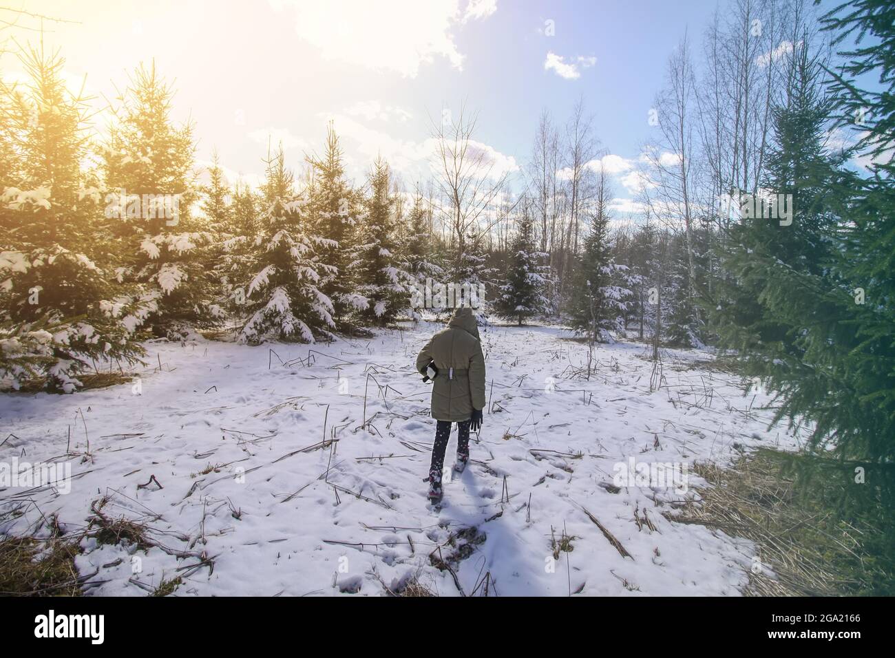 Little girl walking in snow-covered winter forest. Child exploring ...