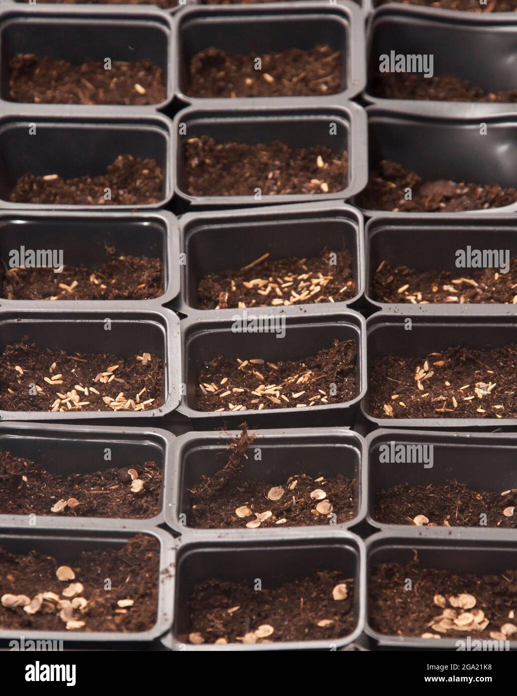 Seedbeds hi-res stock photography and images - Alamy