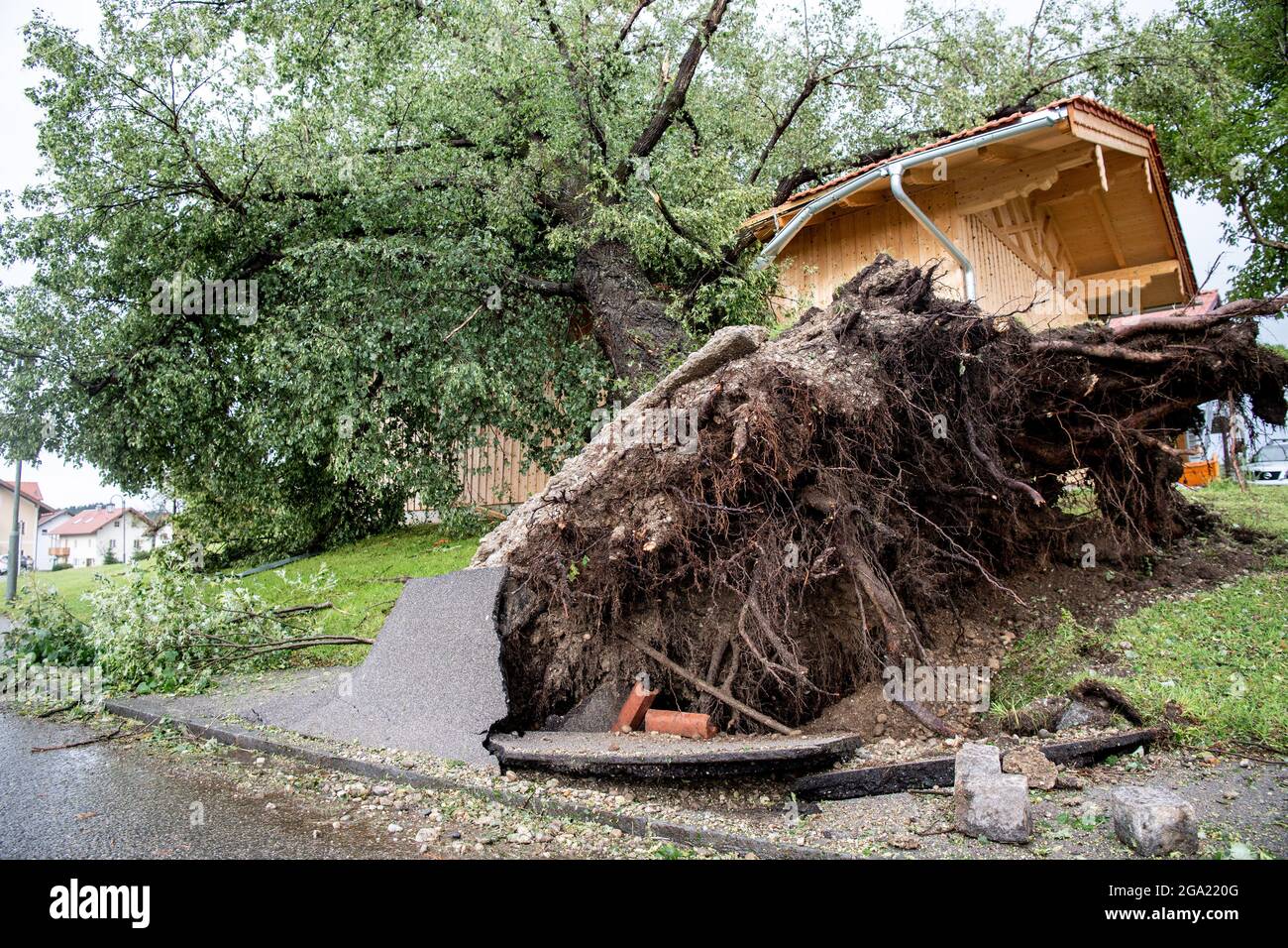 Halfing, Germany. 28th July, 2021. The root of a fallen tree has broken ...