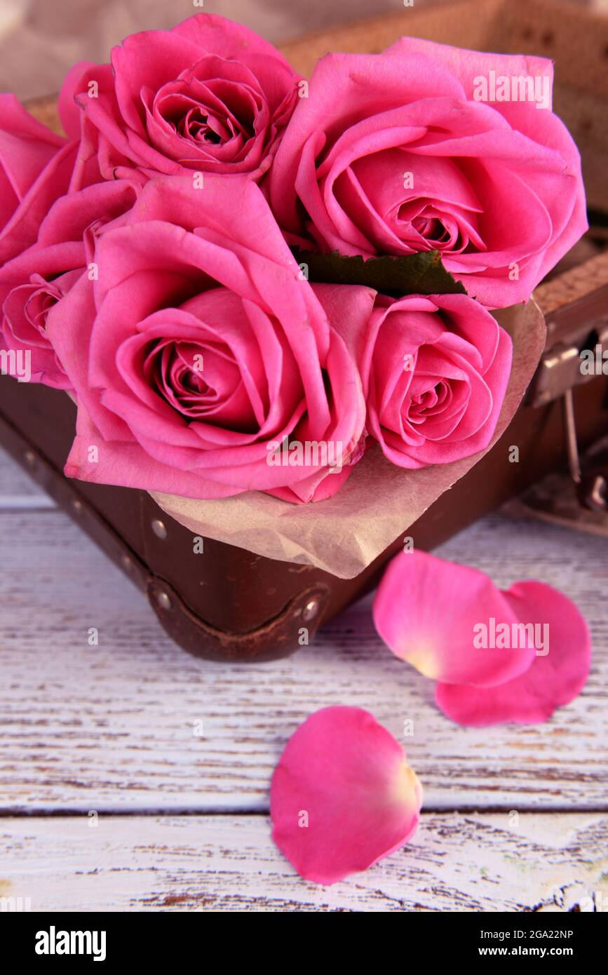 Beautiful pink roses in suitcase, closeup Stock Photo - Alamy