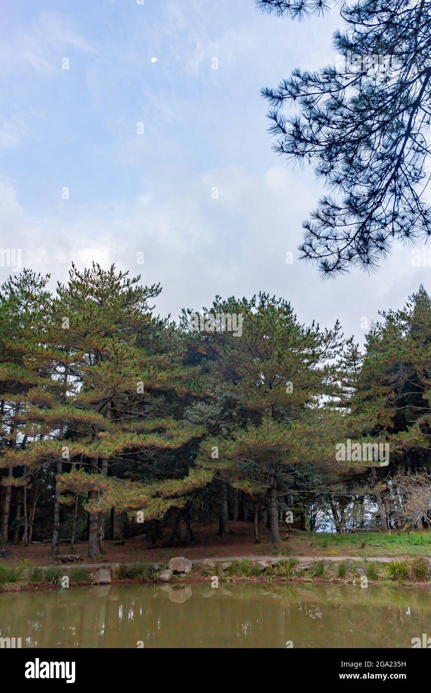 Pond landscape in Wuling Farm at Taichung, Taiwan Stock Photo - Alamy