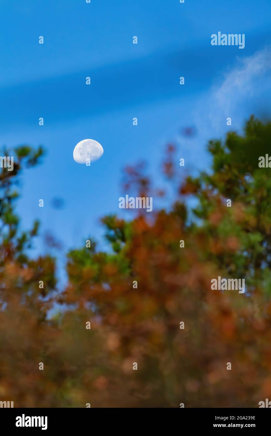 Autumn landscape with half moon in Wuling Farm at Taichung, Taiwan ...